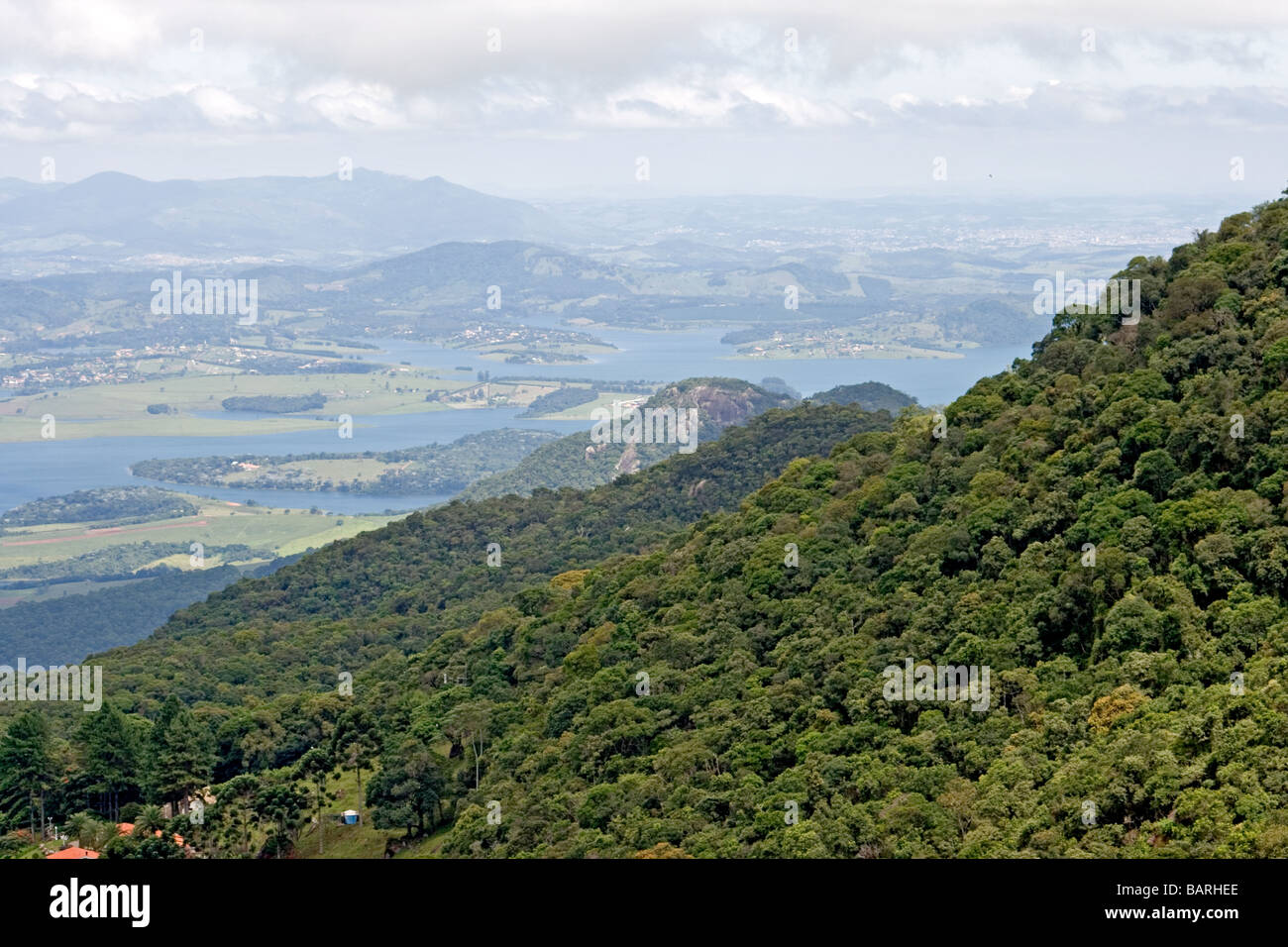 Atlantic forest landscape Stock Photo - Alamy