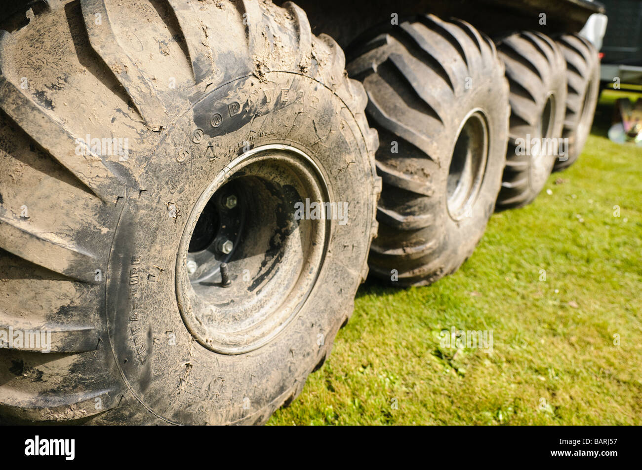 8x8 hi-res stock photography and images - Alamy