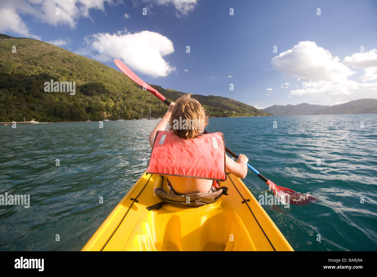 Kayaking in the Endeavour Inlet Marlborough Sound South Island New ...