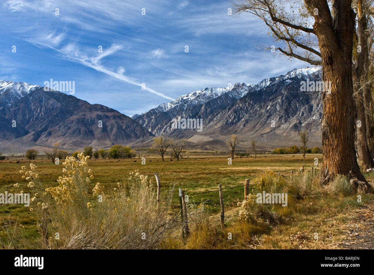 round valley, mammoth Stock Photo - Alamy
