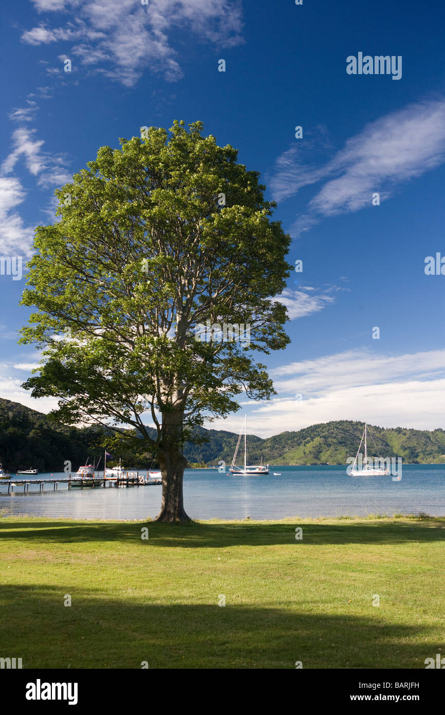 Endeavour Inlet Marlborough Sound South Island New Zealand Stock Photo ...