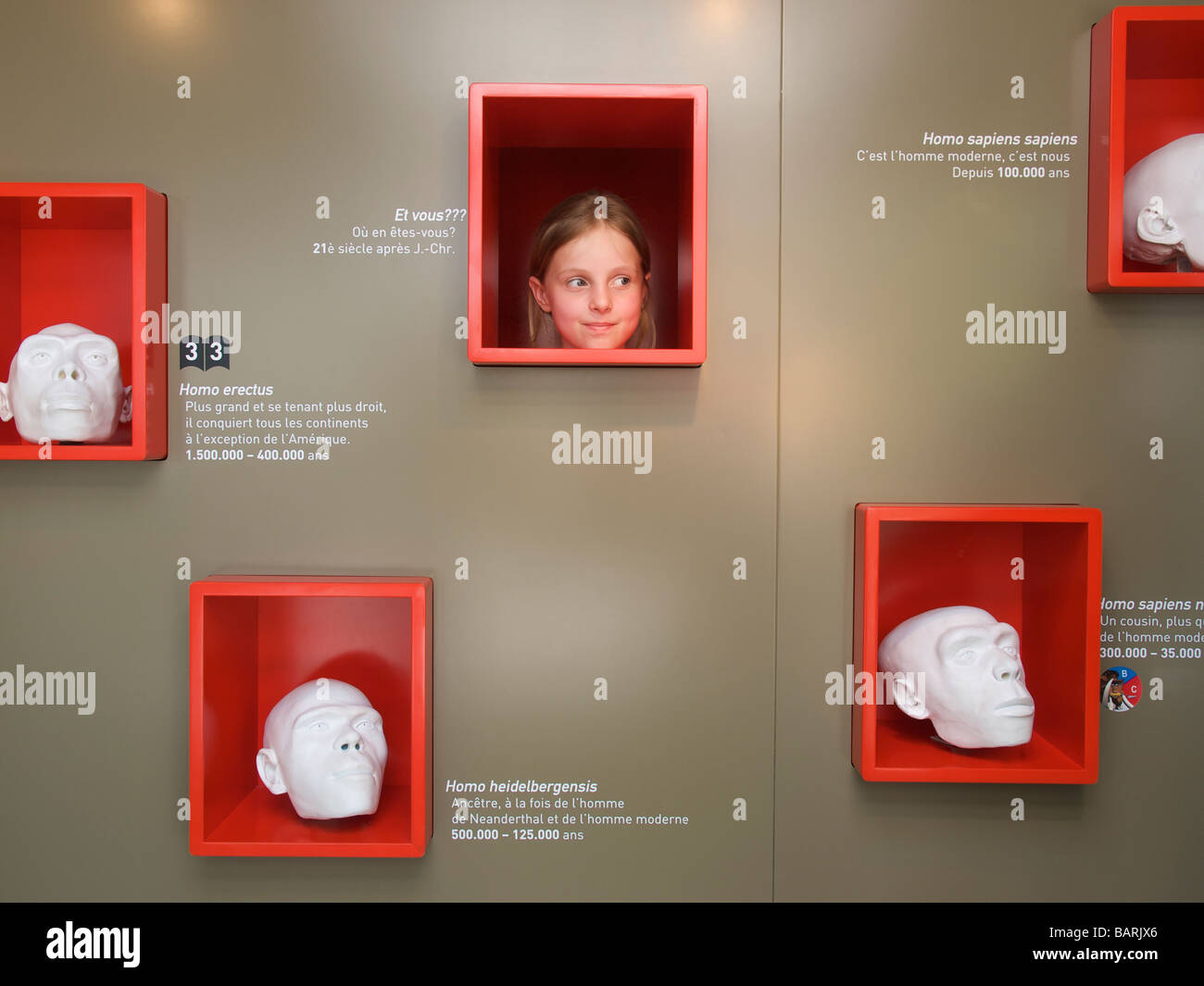 Prehistoric Homo Heidelbergensis and Homo Erectus heads compared to ...