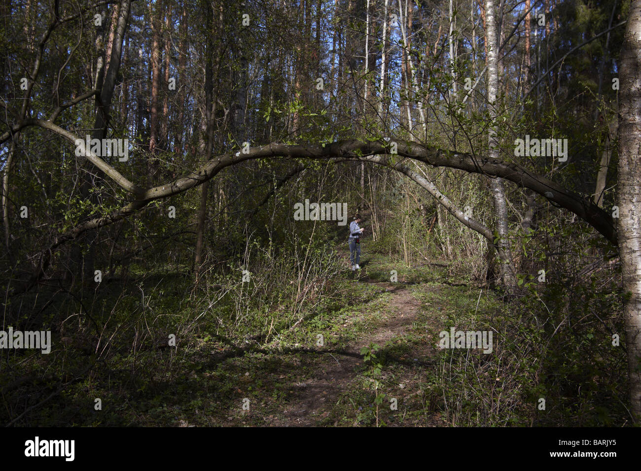 Girl in a forest path Stock Photo - Alamy