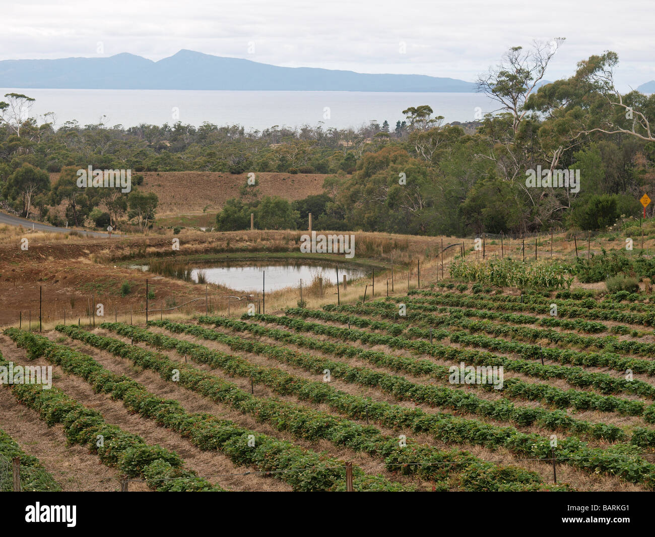Kates Berry Farm High Resolution Stock Photography and Images - Alamy