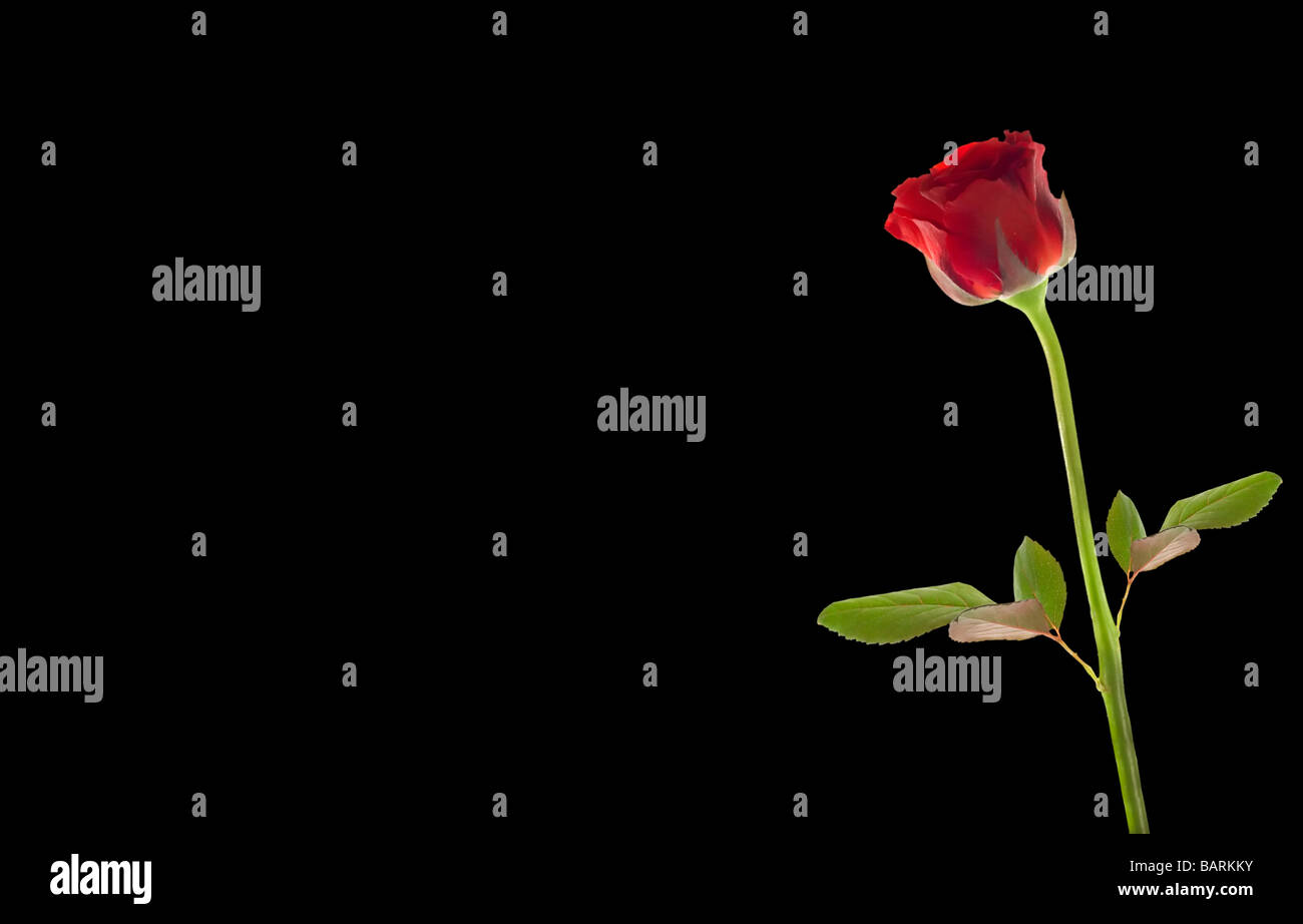 Space one Cut Out Stock Images & Pictures - Alamy