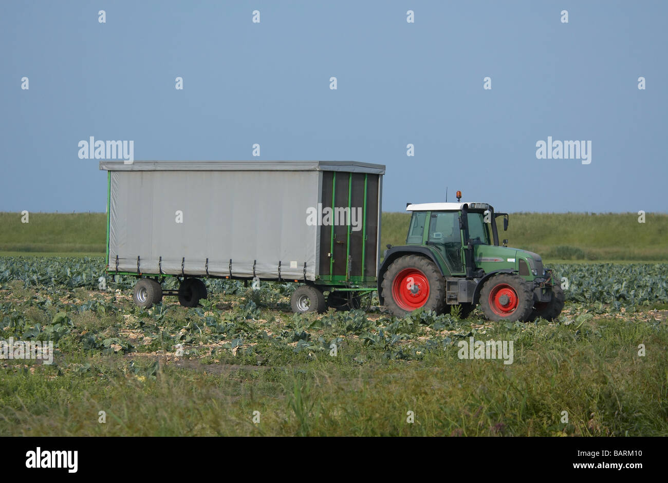 Tractor with wagon Stock Photo - Alamy