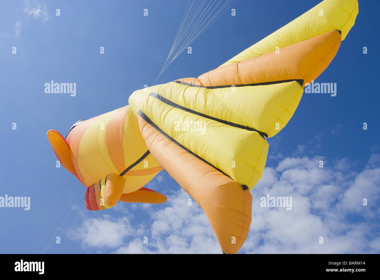 A Peter Lynn inflatable fish kite flying at Berck International Kite ...