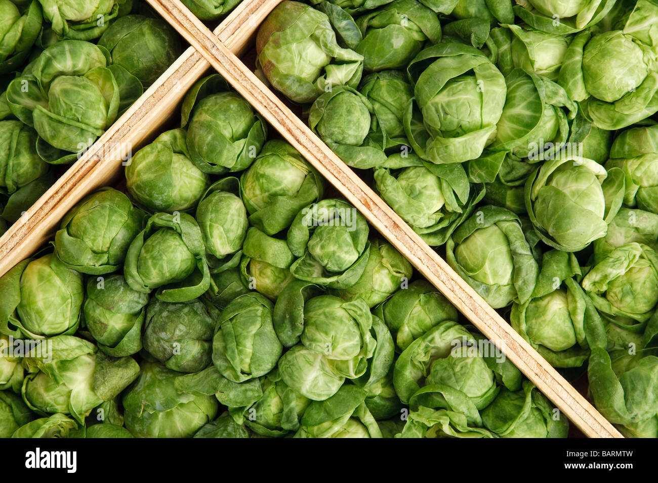 Brossel sprouts hi-res stock photography and images - Alamy