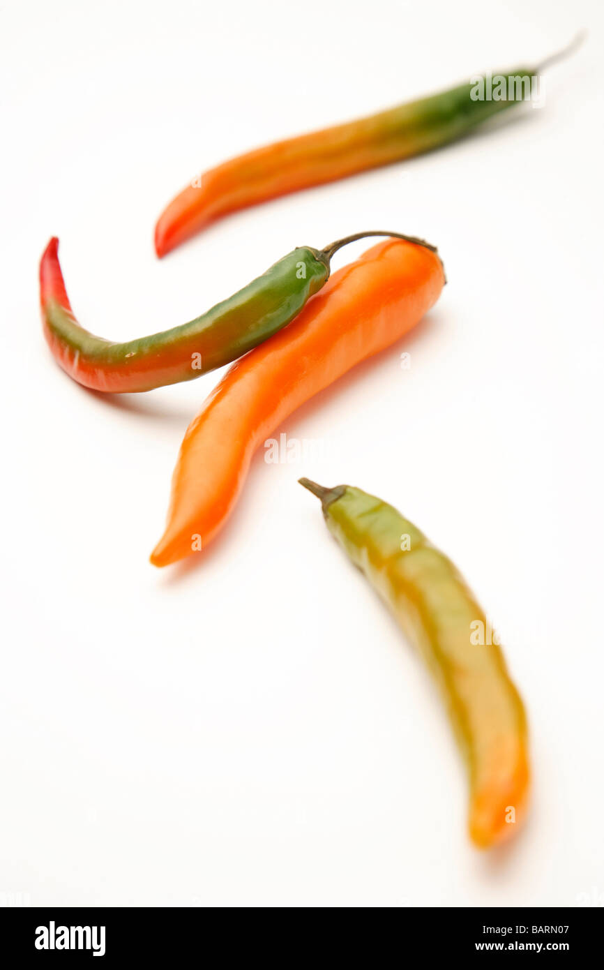 Long peppers on white Stock Photo - Alamy