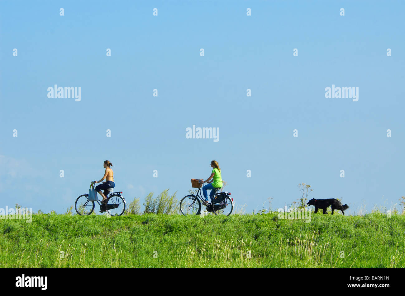 Dog running behind hi-res stock photography and images - Alamy