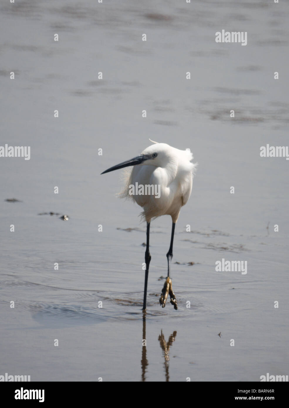China namibia wind hi-res stock photography and images - Alamy