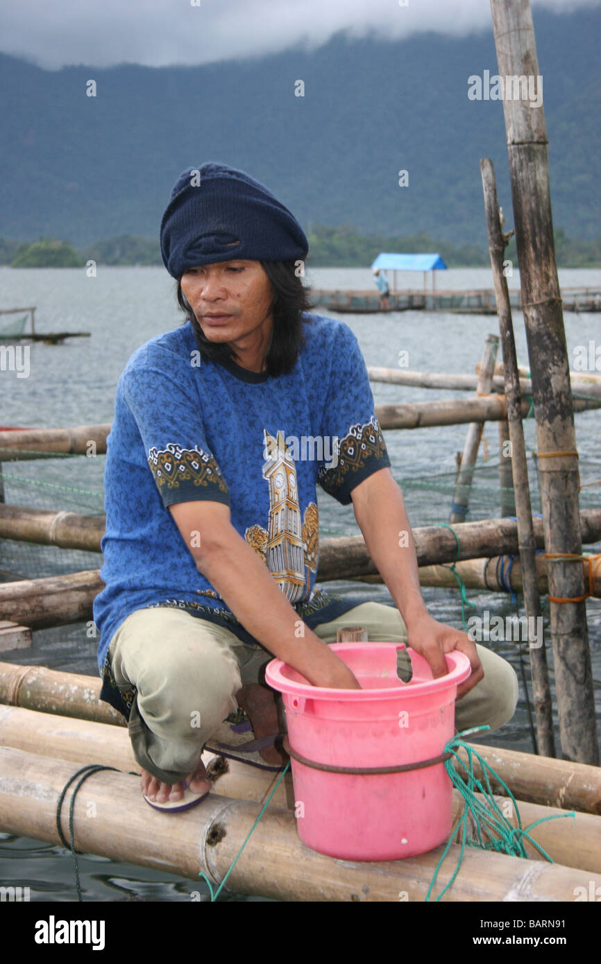 Stock editorial photo of a fish breeder on floating net fish rearing ...