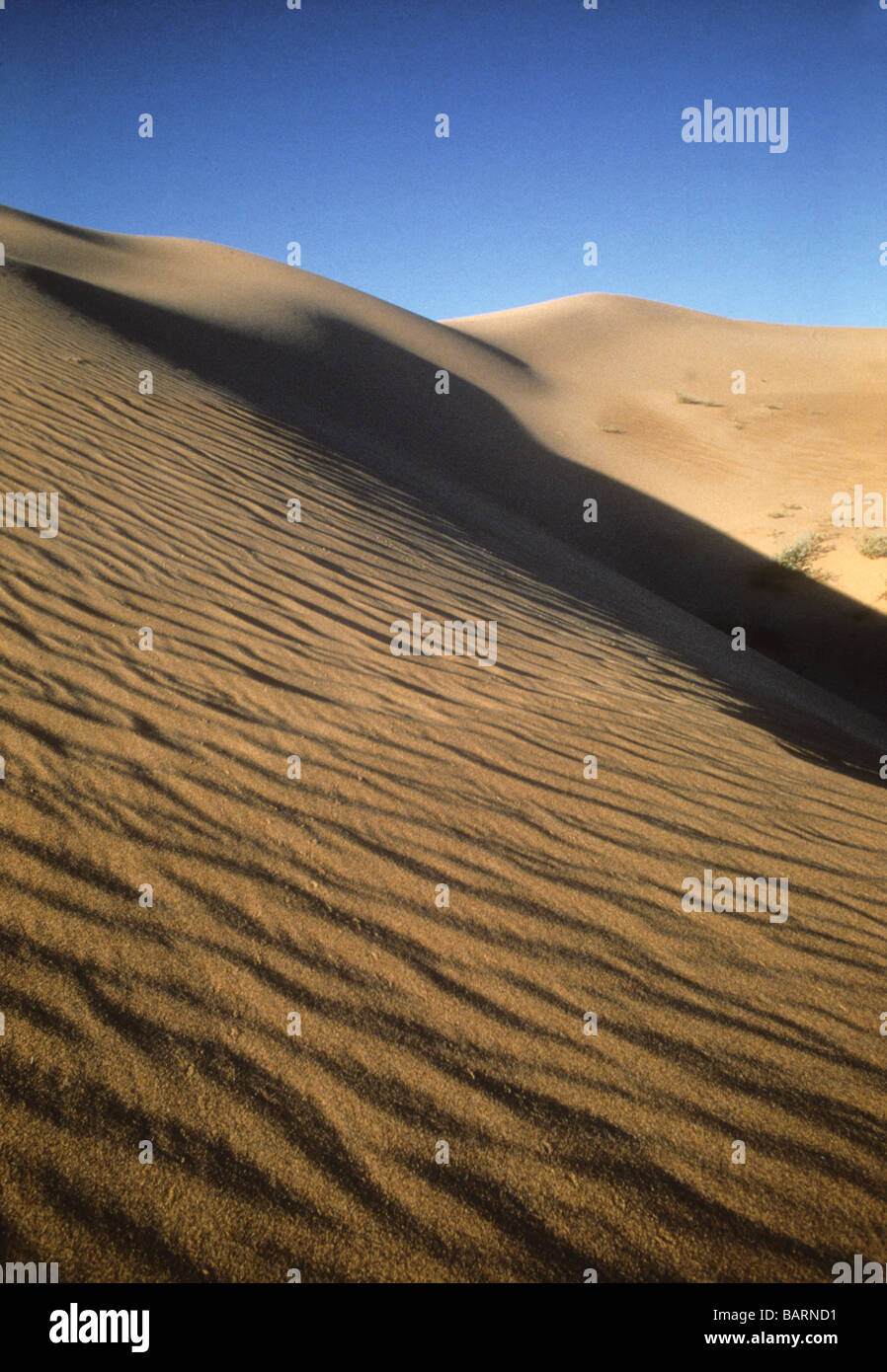 Sand dune California Yuma Arizona desert dry wind ripple pattern clear ...