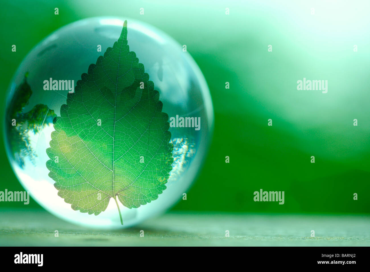 Green leaf in glass bubble Stock Photo - Alamy