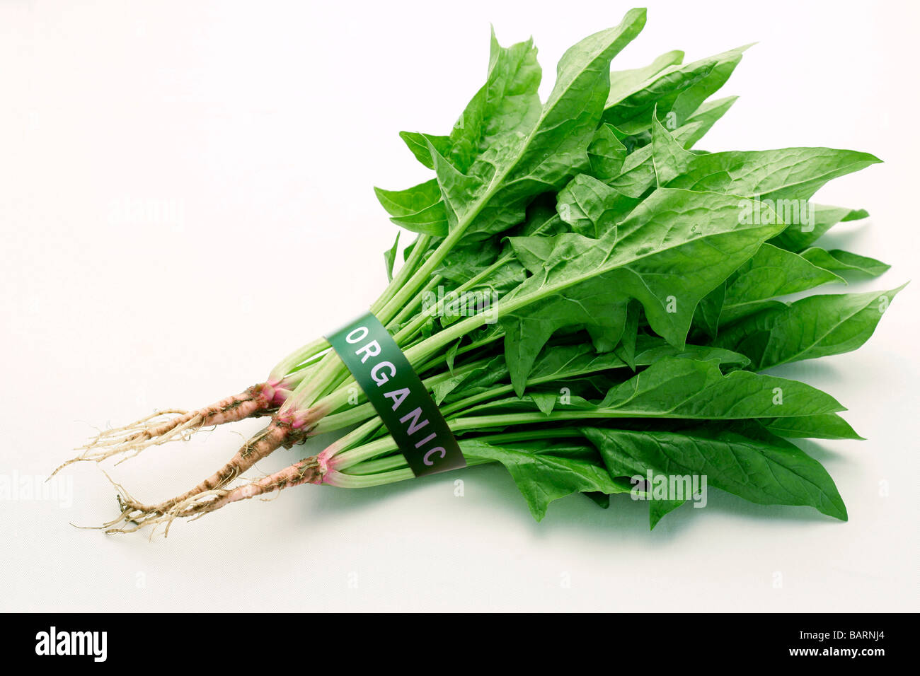 Bunch of vegetables Stock Photo - Alamy