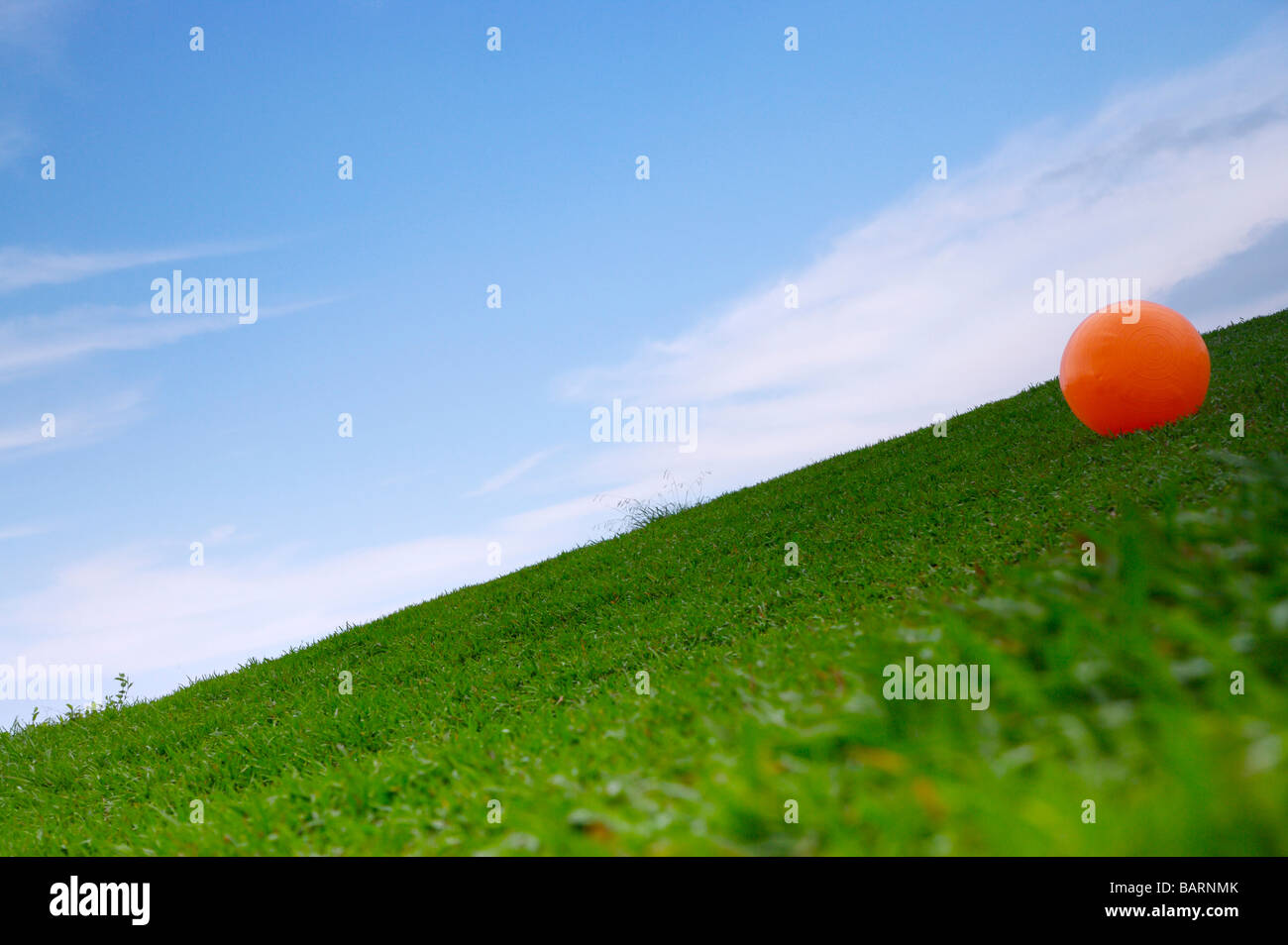 Fitness ball on grass Stock Photo - Alamy