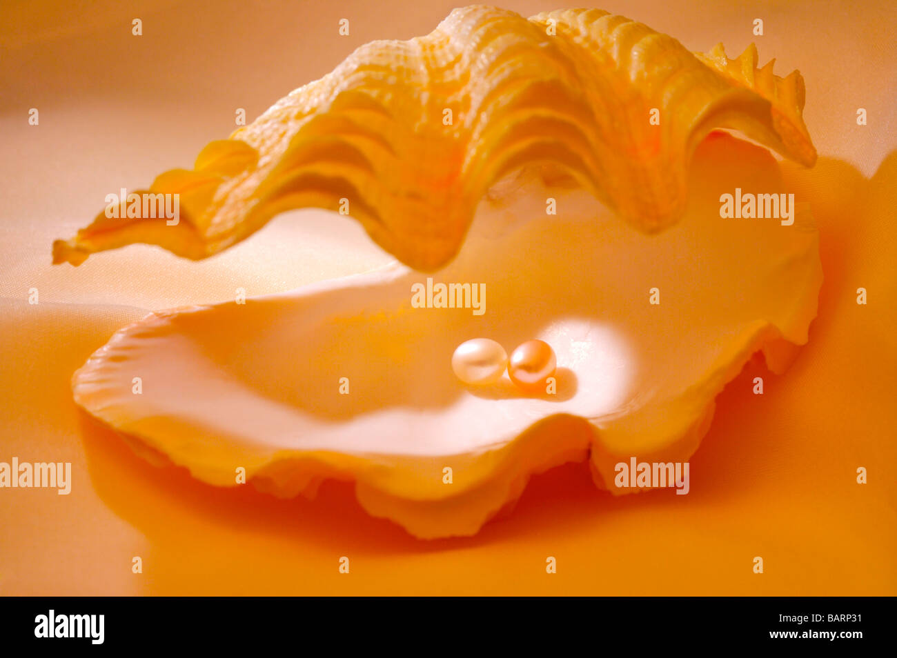 Mussel with pearls hi-res stock photography and images - Alamy
