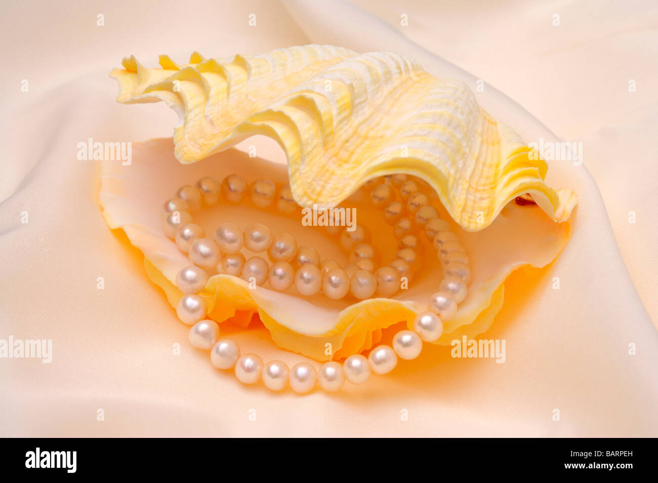Pearl necklace in mussel shell Stock Photo - Alamy
