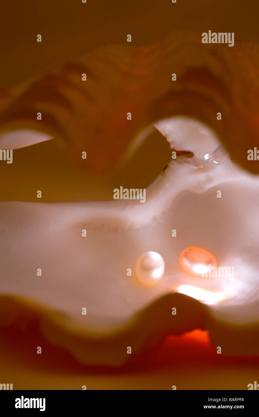 Mussel with pearls hi-res stock photography and images - Alamy