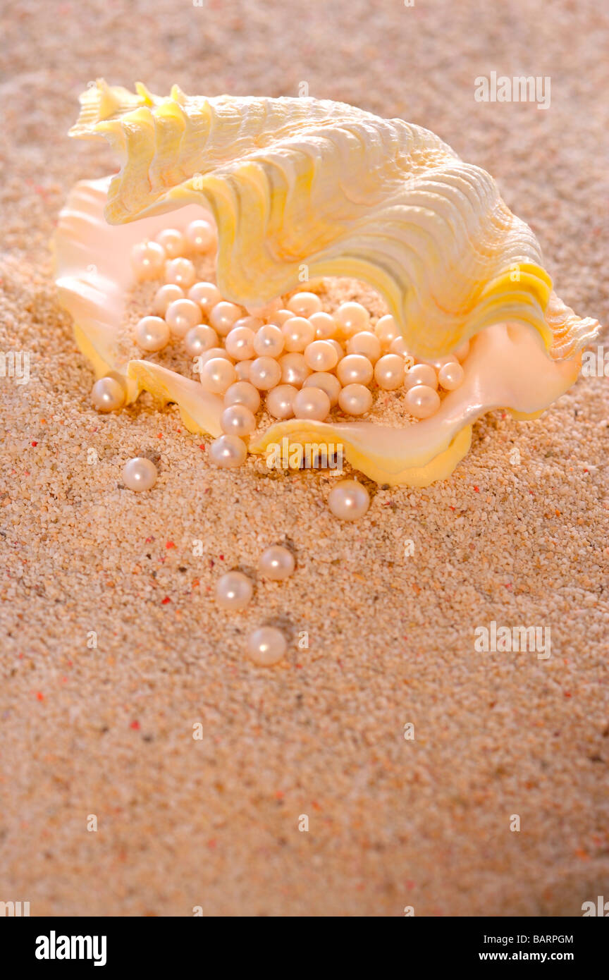 Pearls in mussel shell on sand elevated view Stock Photo - Alamy
