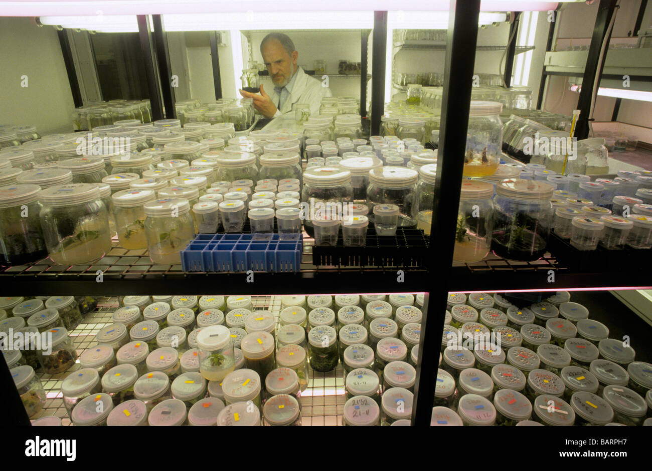 Kew Gardens London England Kew s micro propagation unit with Dichen ...