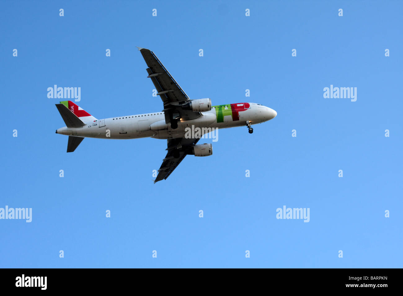 BA Plane in flight Stock Photo - Alamy