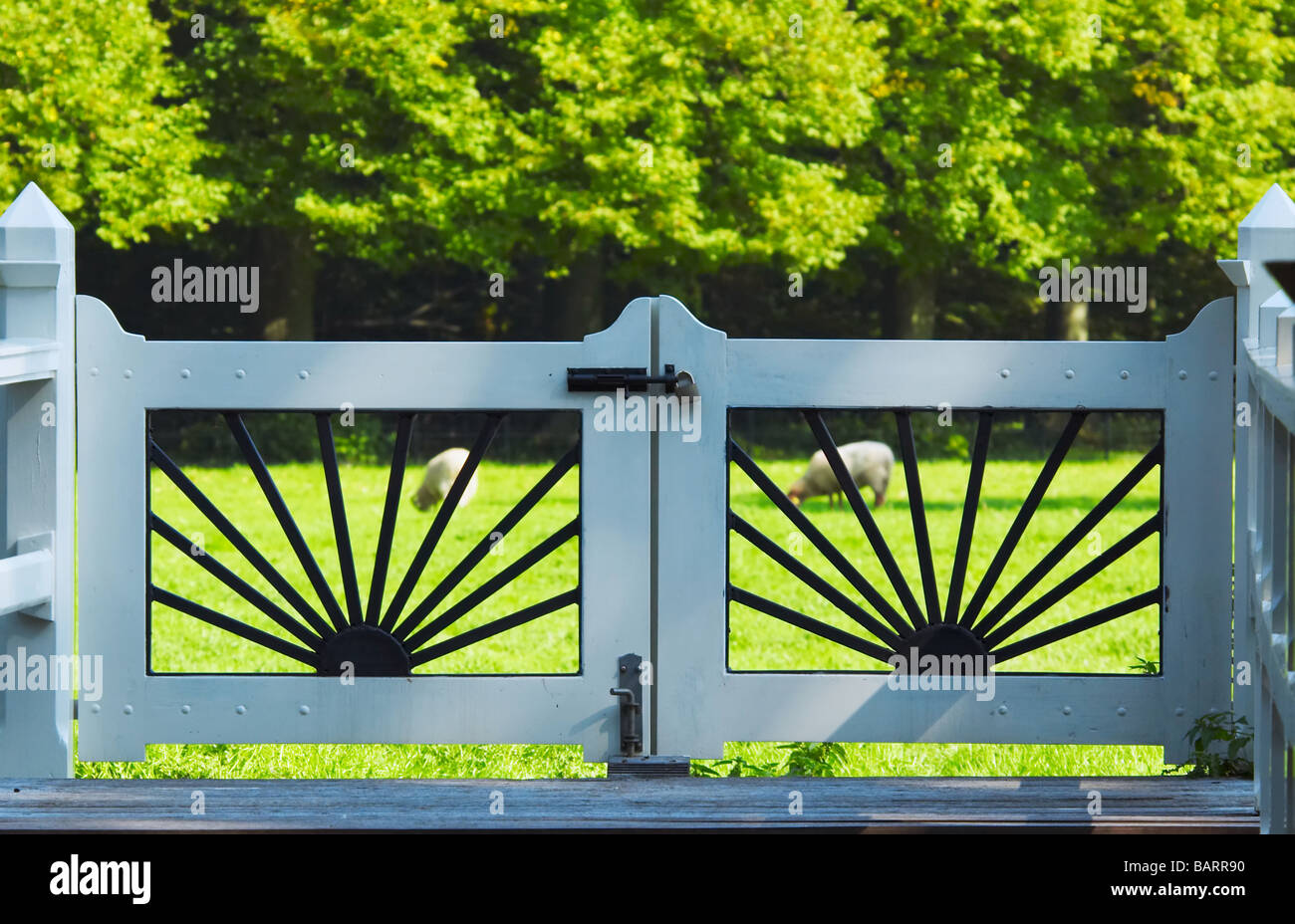 Sheep gate hi-res stock photography and images - Alamy