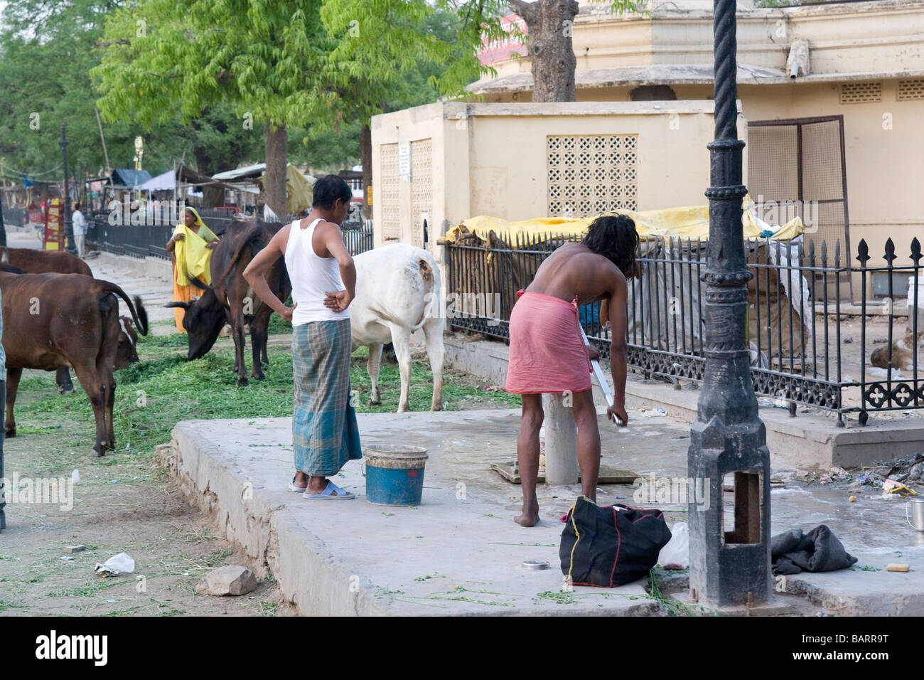 India Rajasthan Jaipur city centre local people Stock Photo - Alamy