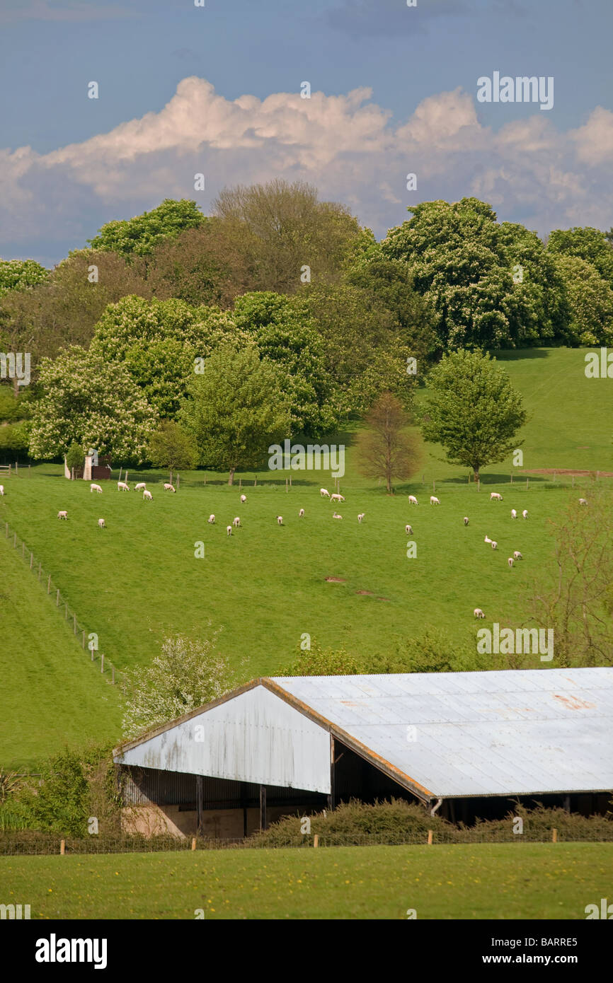 English farming land hi-res stock photography and images - Alamy