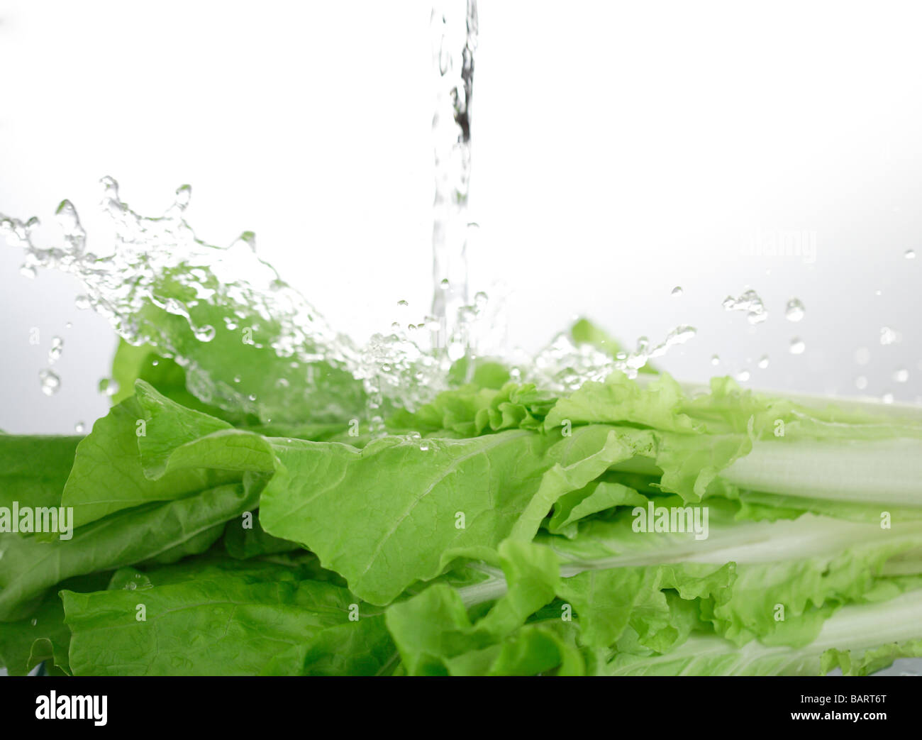 Water being poured on vegetable Stock Photo - Alamy