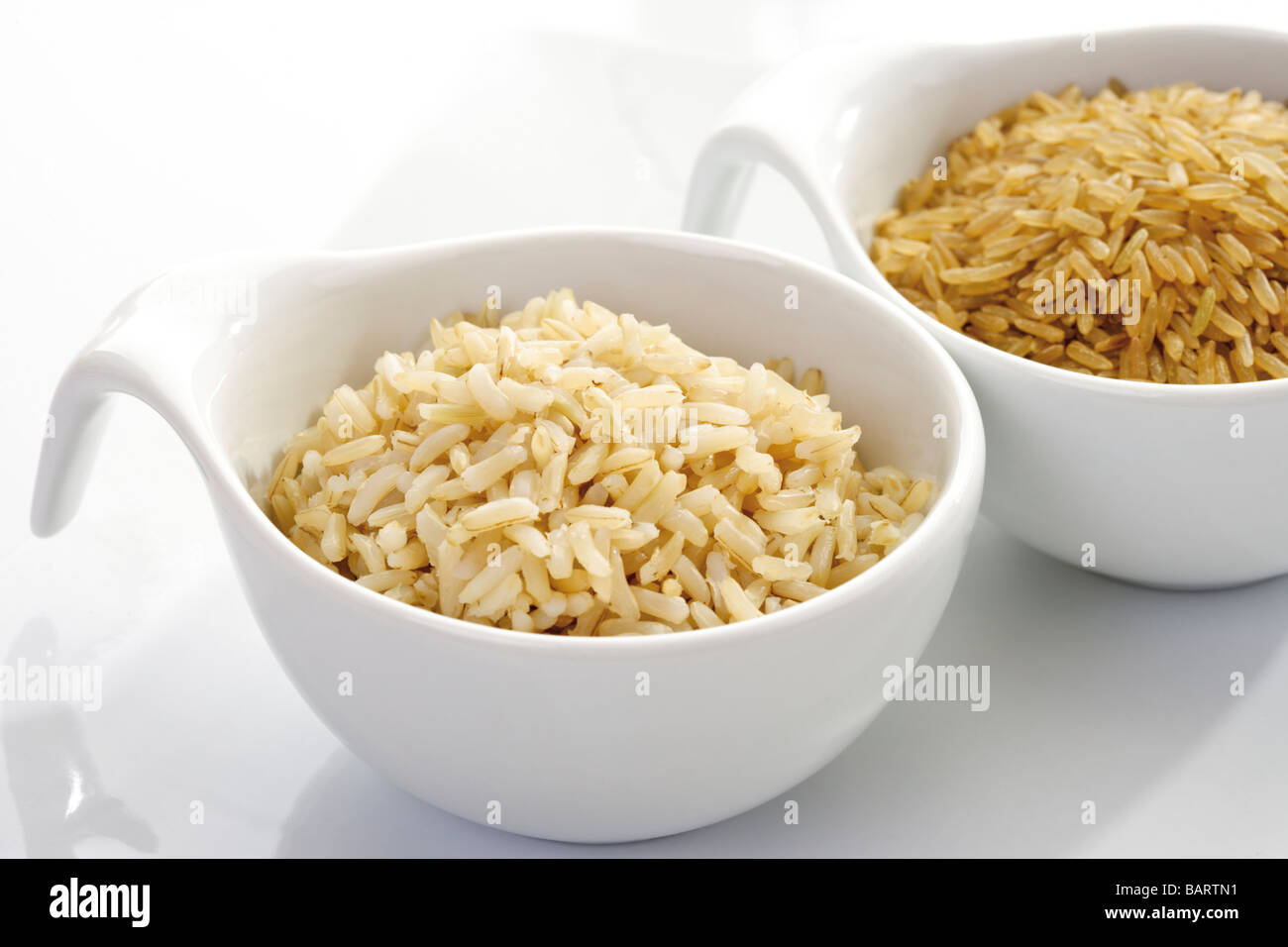 Different type of shells hi-res stock photography and images - Alamy