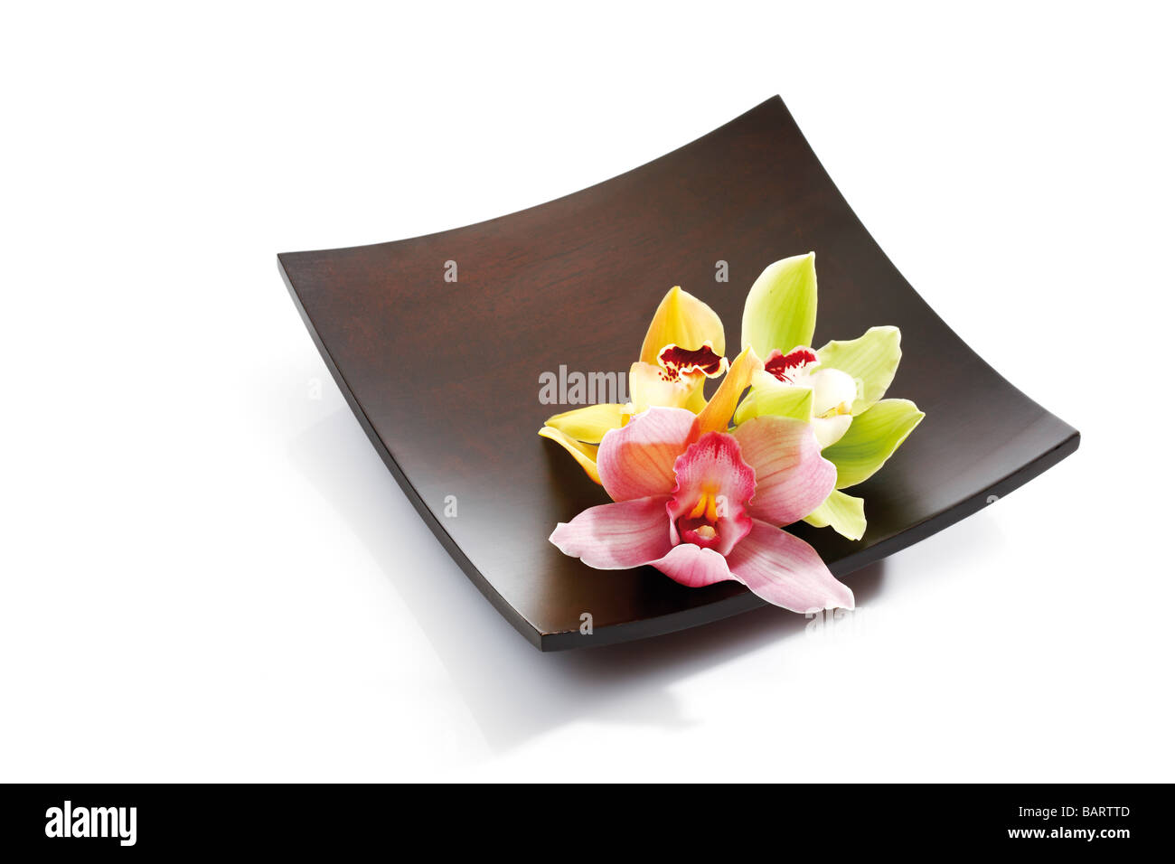 Orchid blossoms (Orchidaceae) on wooden plate, elevated view Stock ...