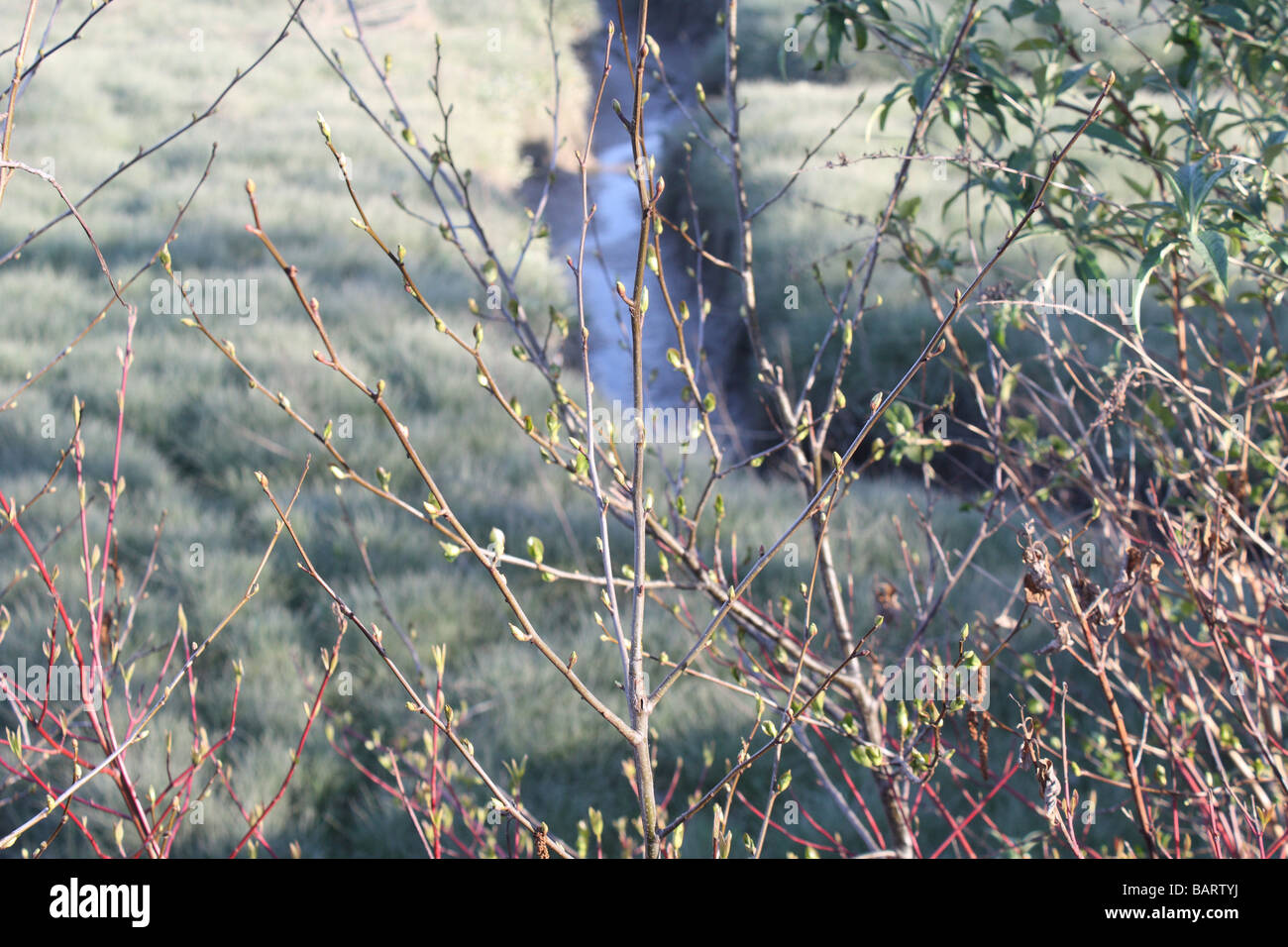 Riverlet hi-res stock photography and images - Alamy