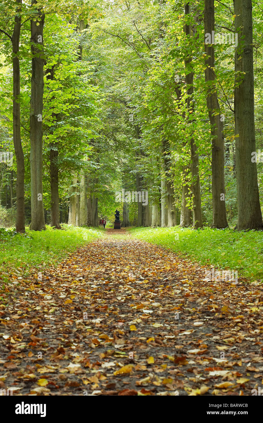 A path through the forest in autumn Stock Photo - Alamy