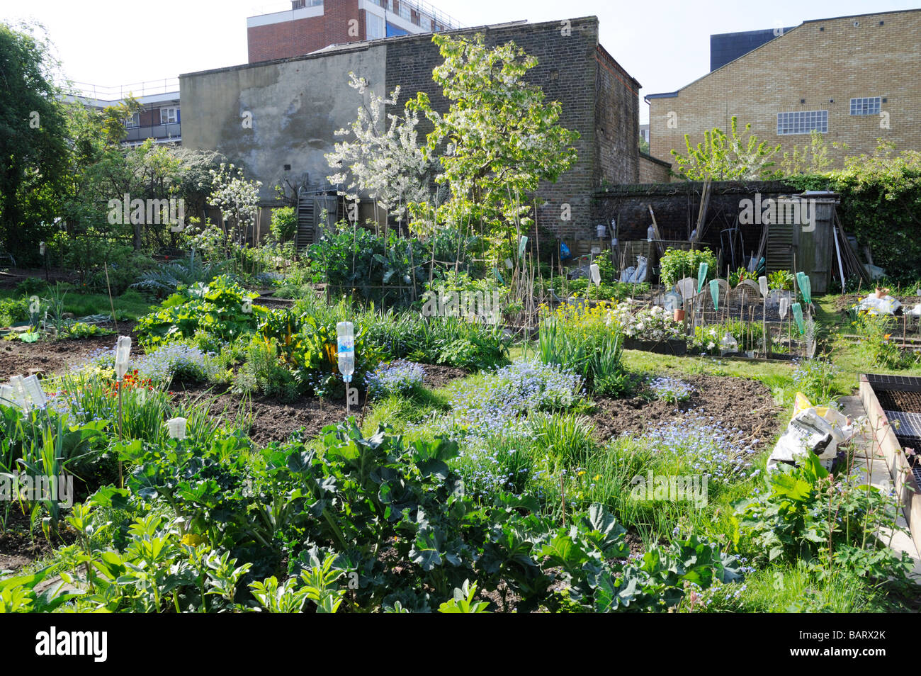 Allotment uk london hi-res stock photography and images - Alamy