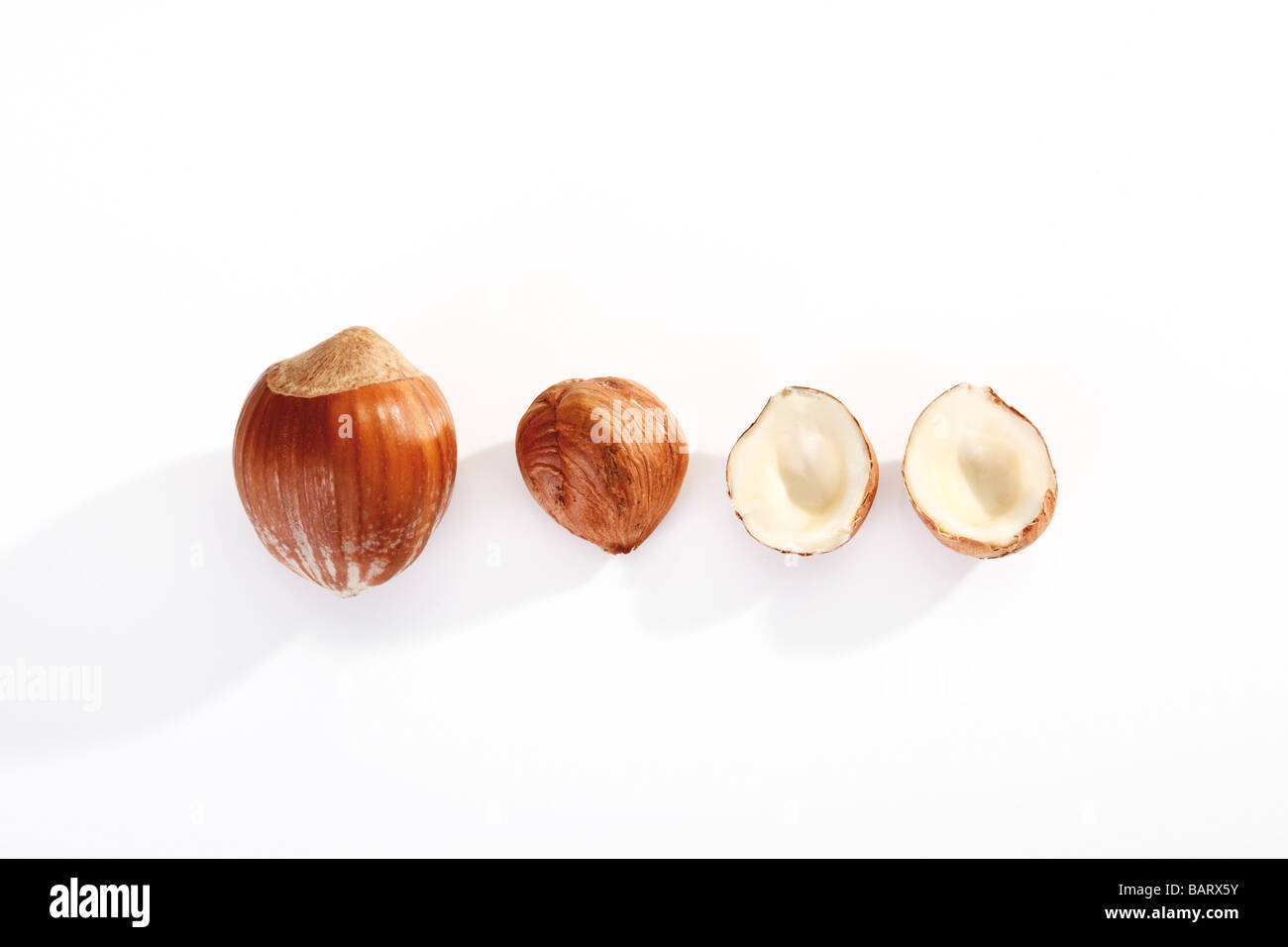 Hazelnut in shell hi-res stock photography and images - Alamy