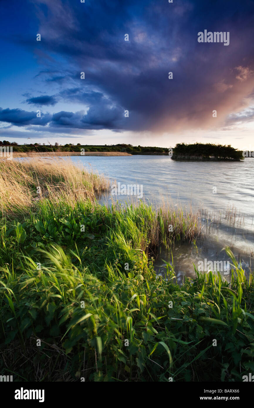 Evening at the Far Ings National Nature Reserve in North Lincolsnhire ...