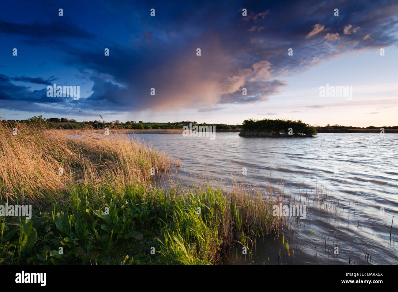 Evening at the Far Ings National Nature Reserve in North Lincolsnhire ...