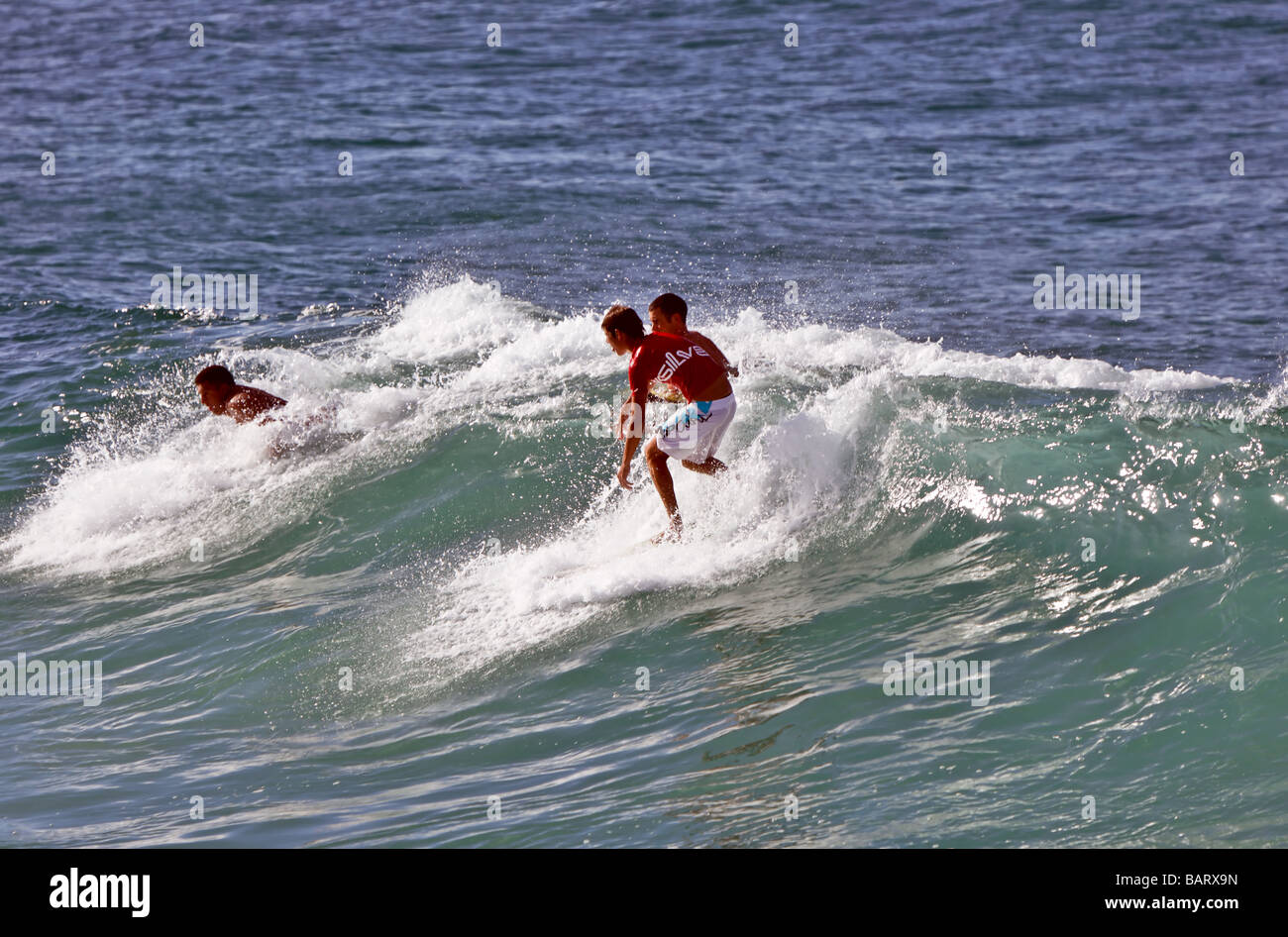 Surfer riding a wave Stock Photo - Alamy