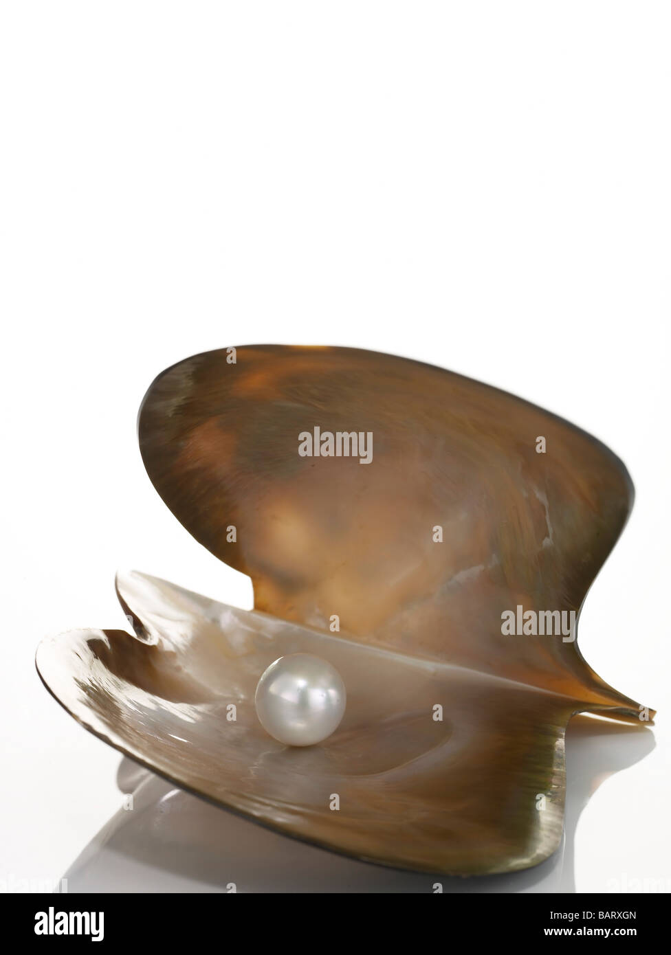 Pearl jewelry photos hi-res stock photography and images - Alamy