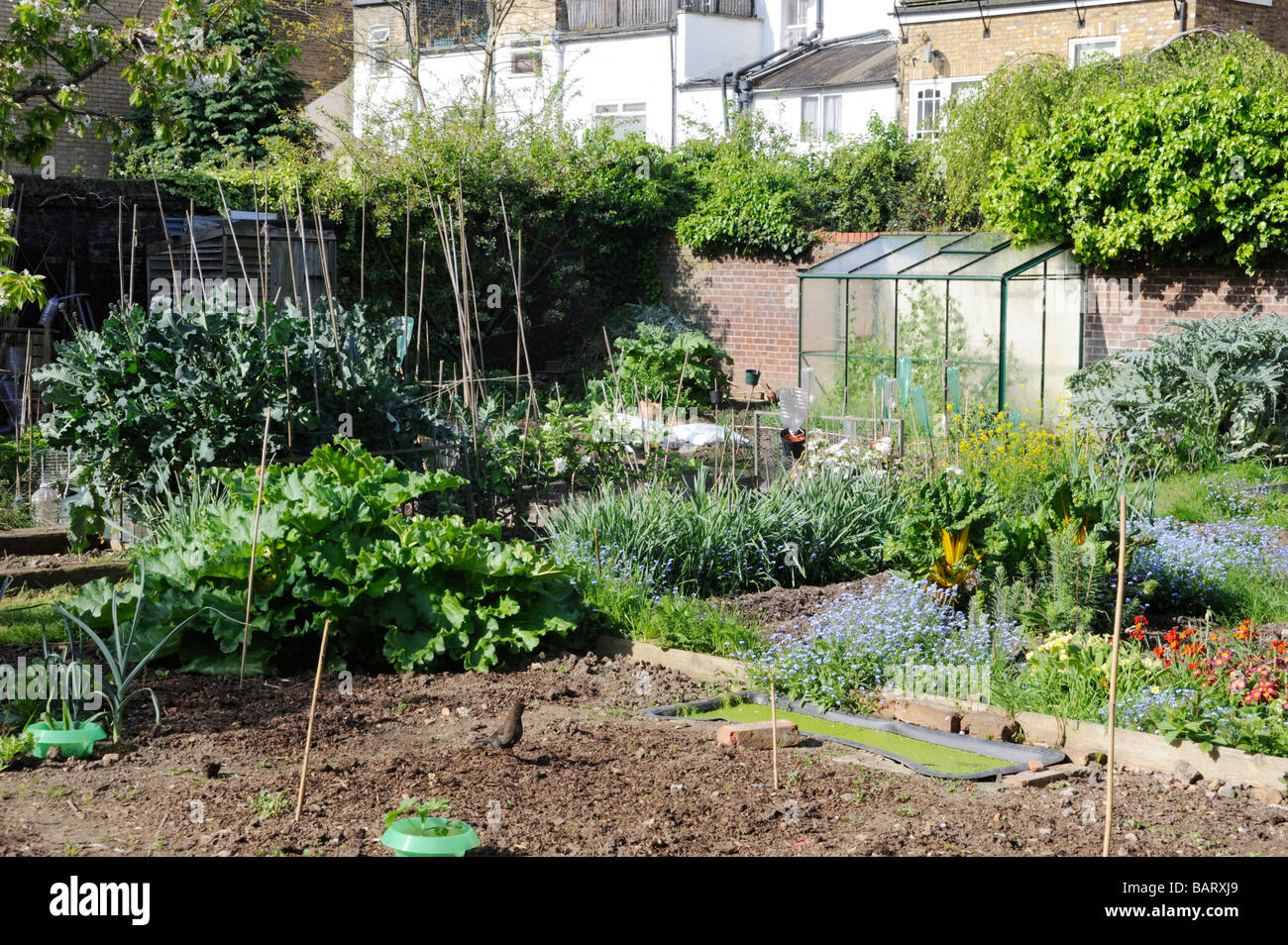 Allotment Uk London High Resolution Stock Photography and Images - Alamy