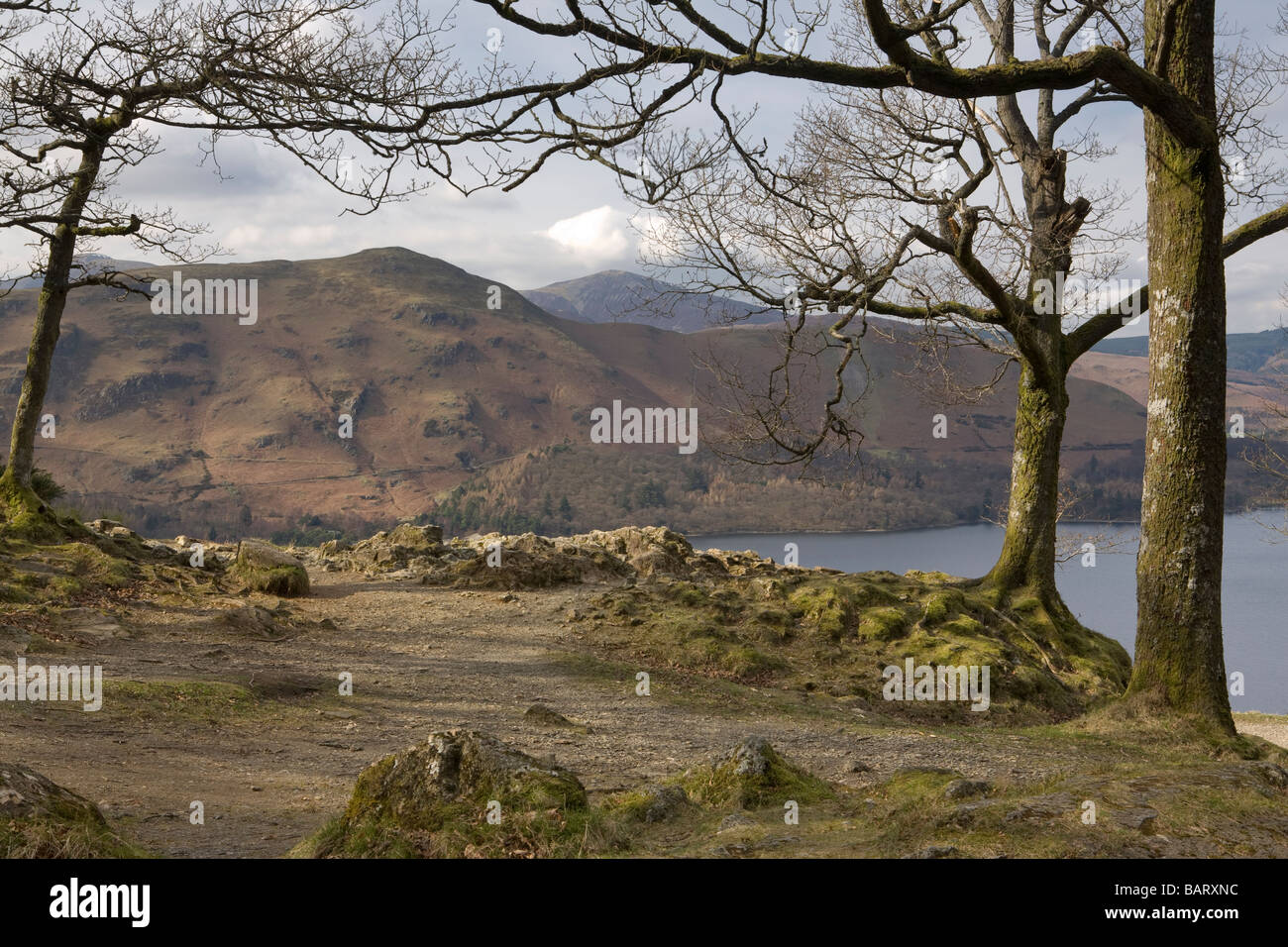 Surprise View in the Lake District looking towards Catbells Stock Photo ...