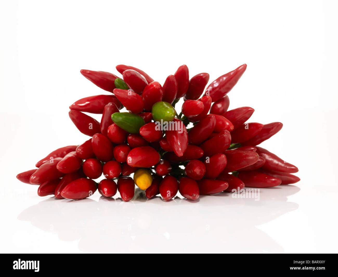 Fresh large red chili in Cut Out Stock Images & Pictures - Alamy