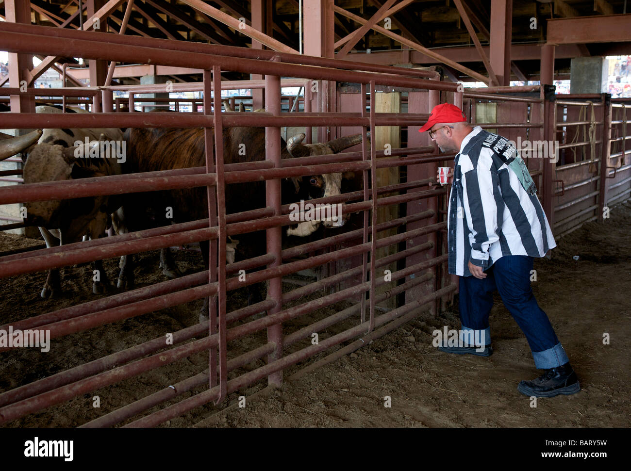 US ANGOLA - Louisiana State Prison Rodeo PHOTO GERRIT DE HEUS Stock ...