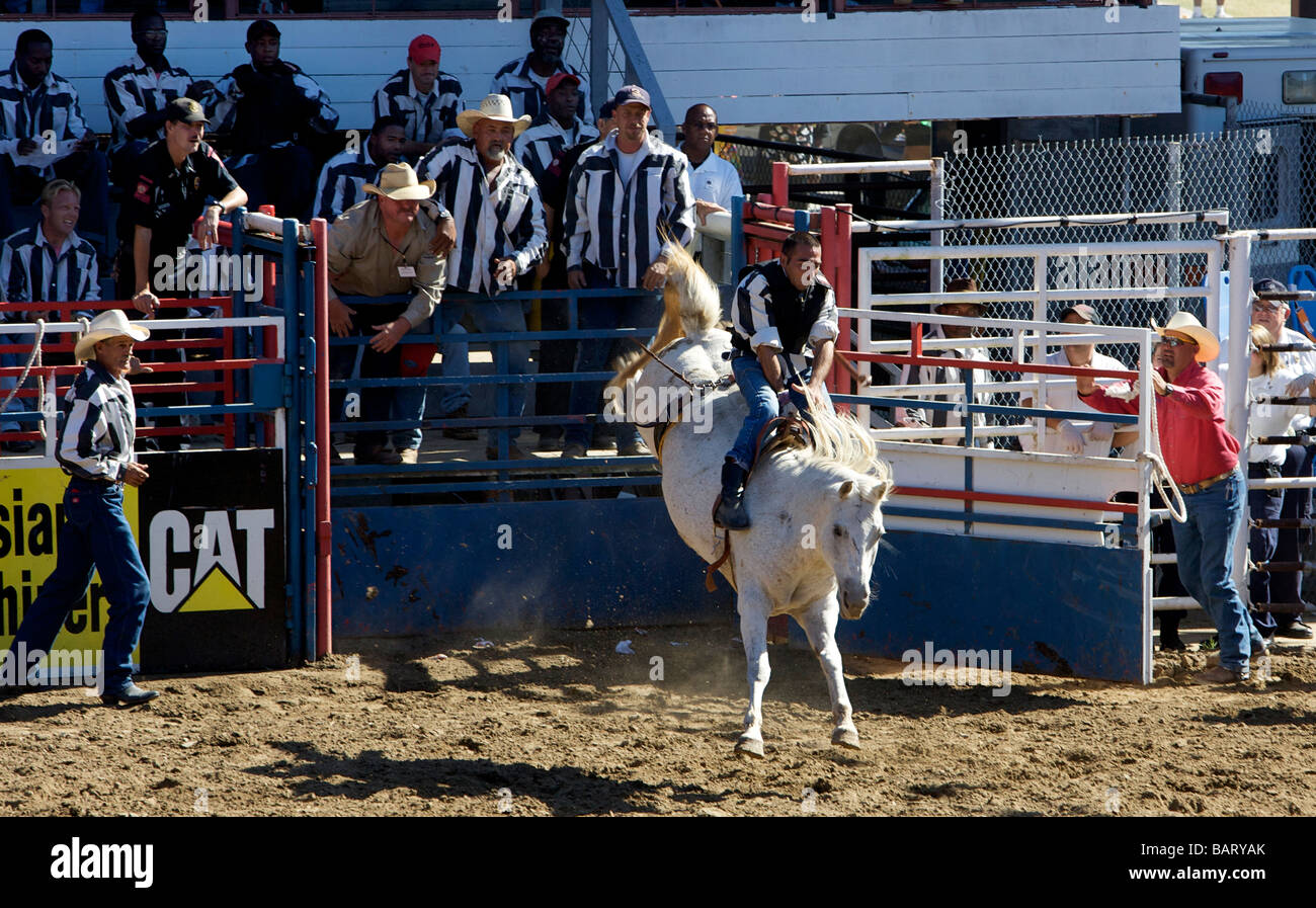 Angola prison rodeo hi-res stock photography and images - Alamy