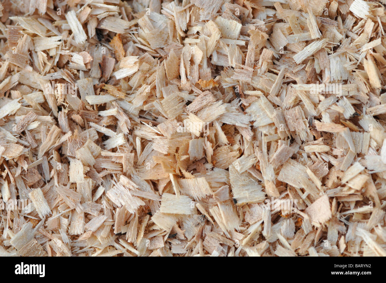 Wood splints hi-res stock photography and images - Alamy