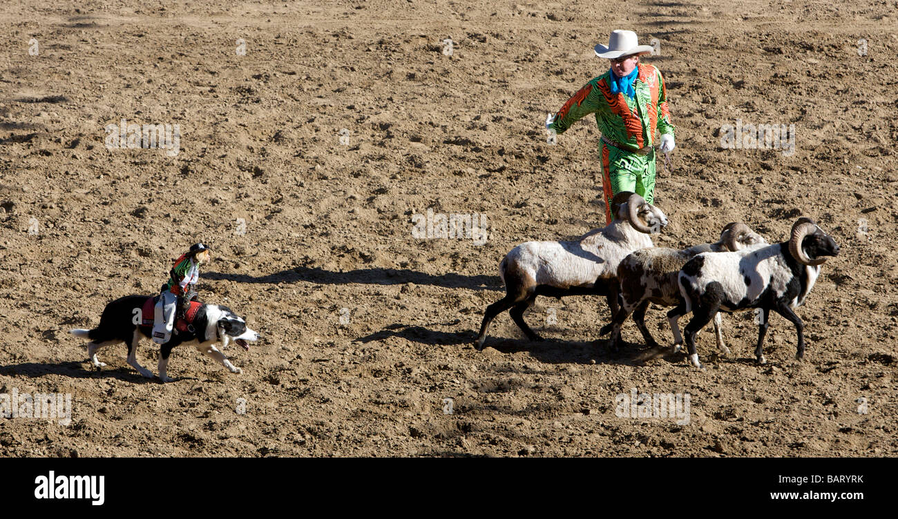 US ANGOLA - Louisiana State Prison Rodeo PHOTO GERRIT DE HEUS Stock ...
