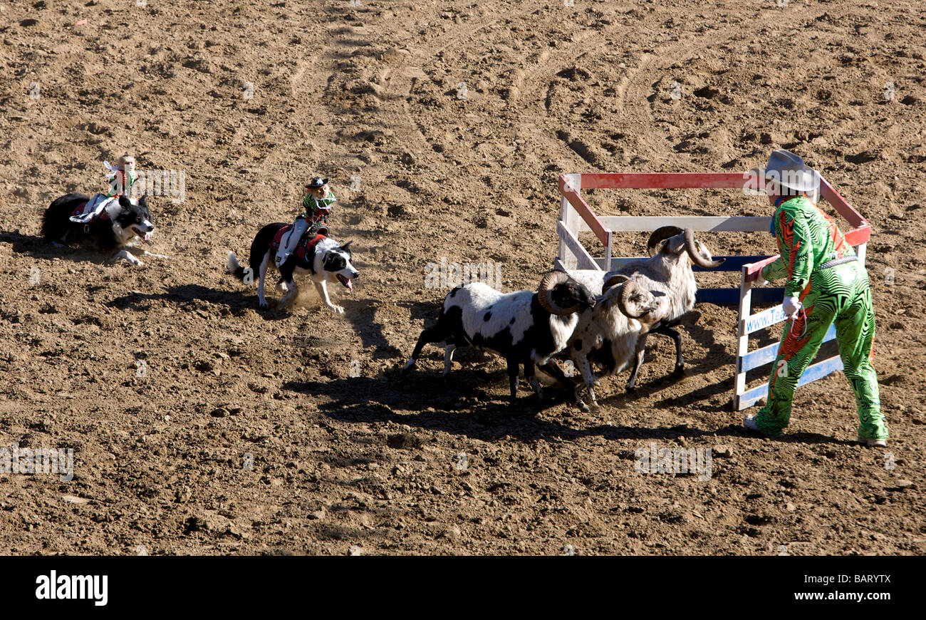 US ANGOLA - Louisiana State Prison Rodeo PHOTO GERRIT DE HEUS Stock ...