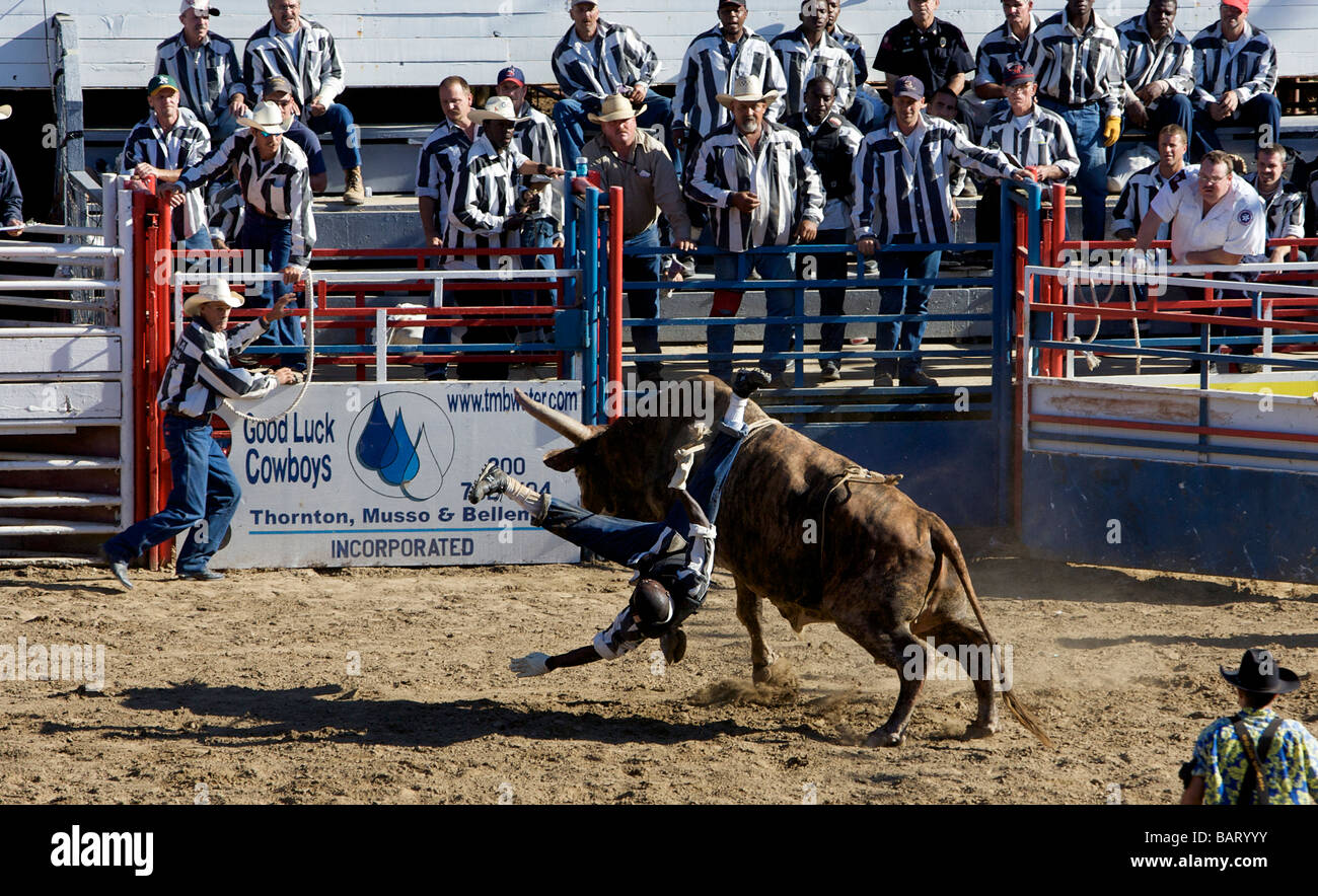 US ANGOLA - Louisiana State Prison Rodeo PHOTO GERRIT DE HEUS Stock ...