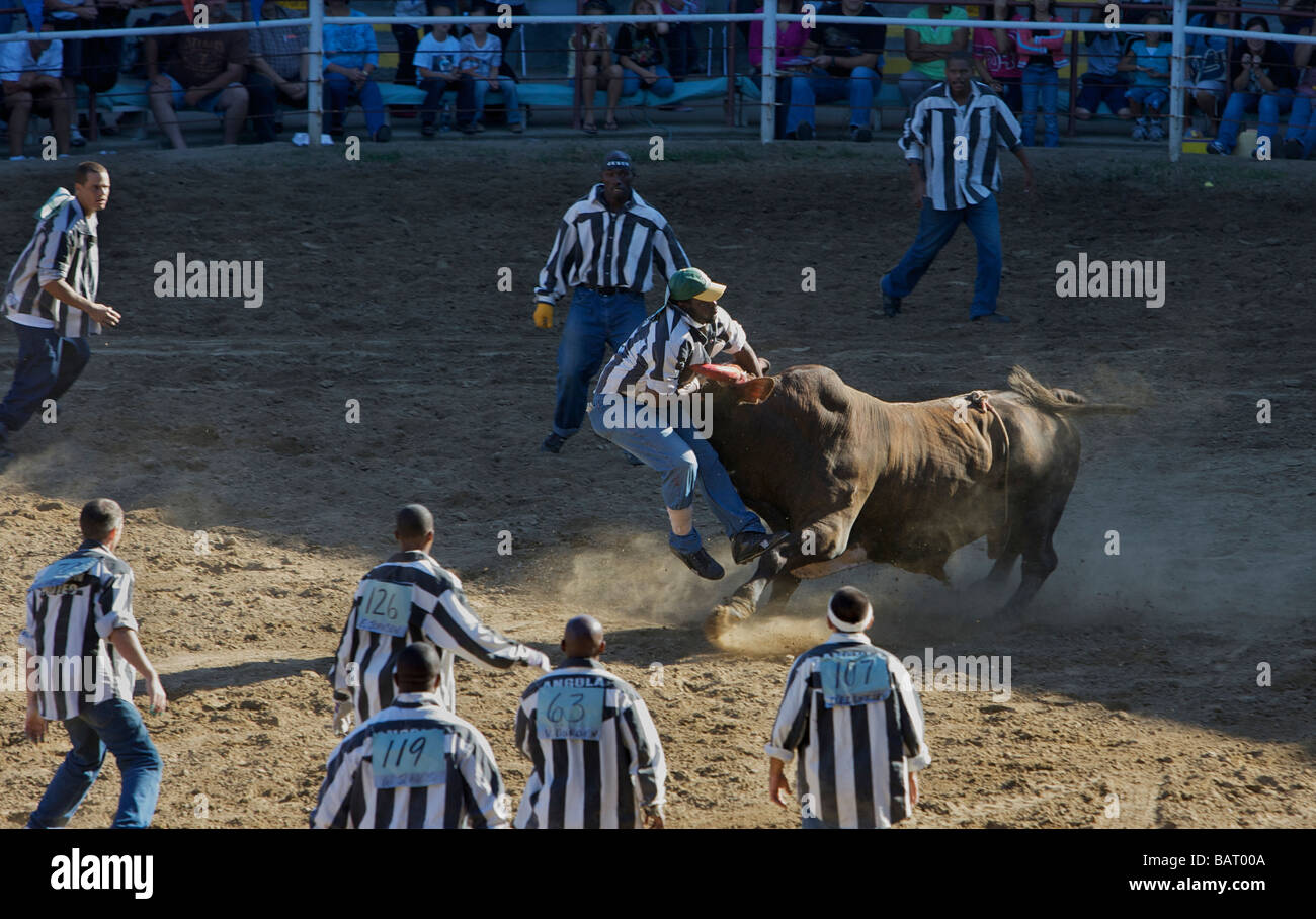 Angola Prison Rodeo High Resolution Stock Photography and Images - Alamy